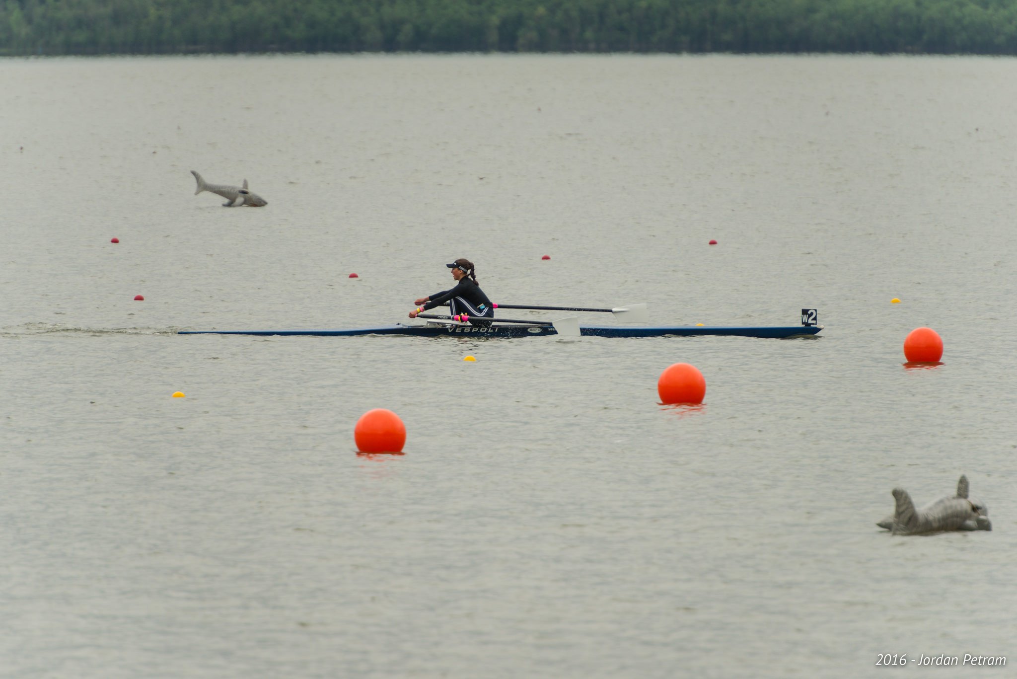 Rowing: Vashon juniors take regional championships by storm | Vashon ...