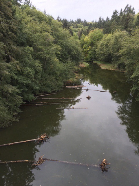 Effort to rebuild salmon habitat at Judd Creek begins with logs ...