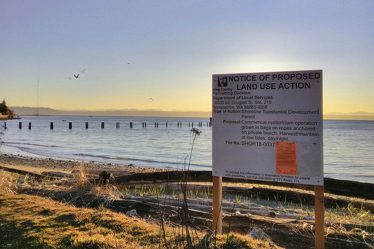 Islander proposes shellfish operation in Tramp Harbor | Vashon-Maury ...