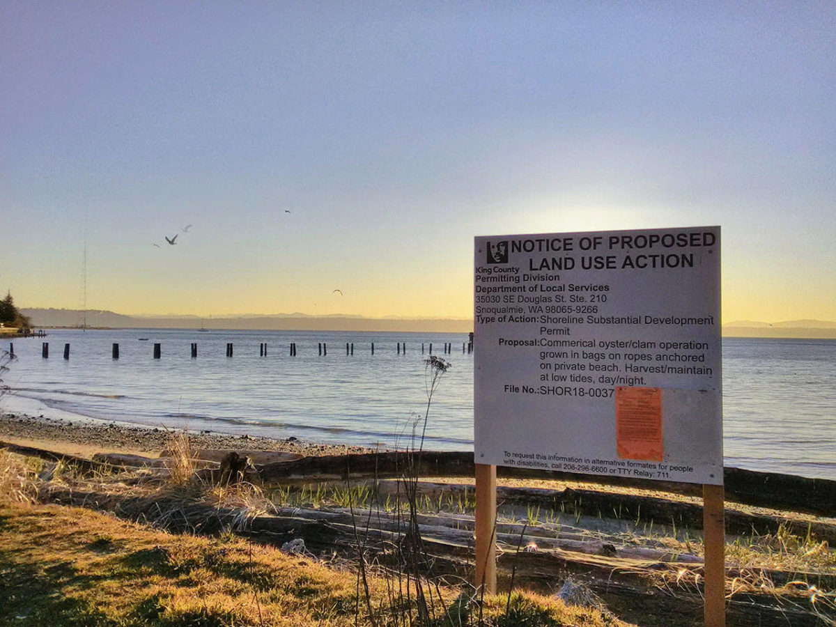 Islander proposes shellfish operation in Tramp Harbor | Vashon-Maury ...