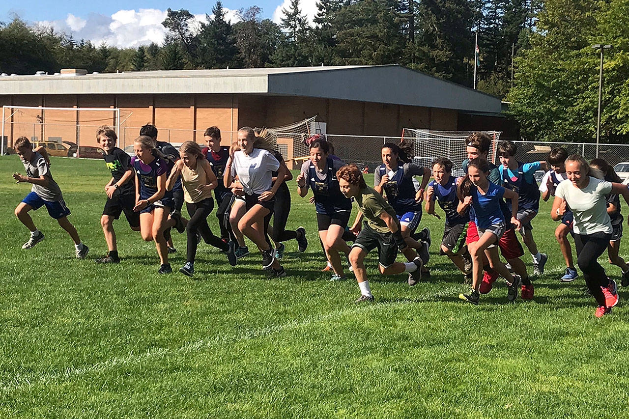 Mustang cross country team sees strong turnout this year | Vashon-Maury ...