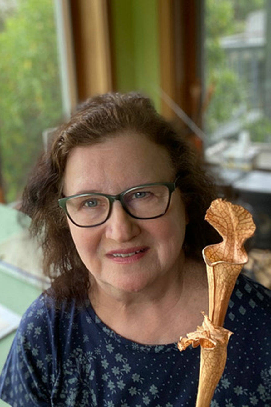 Our Town: A botanical artist’s studio blooms with new work | Vashon ...