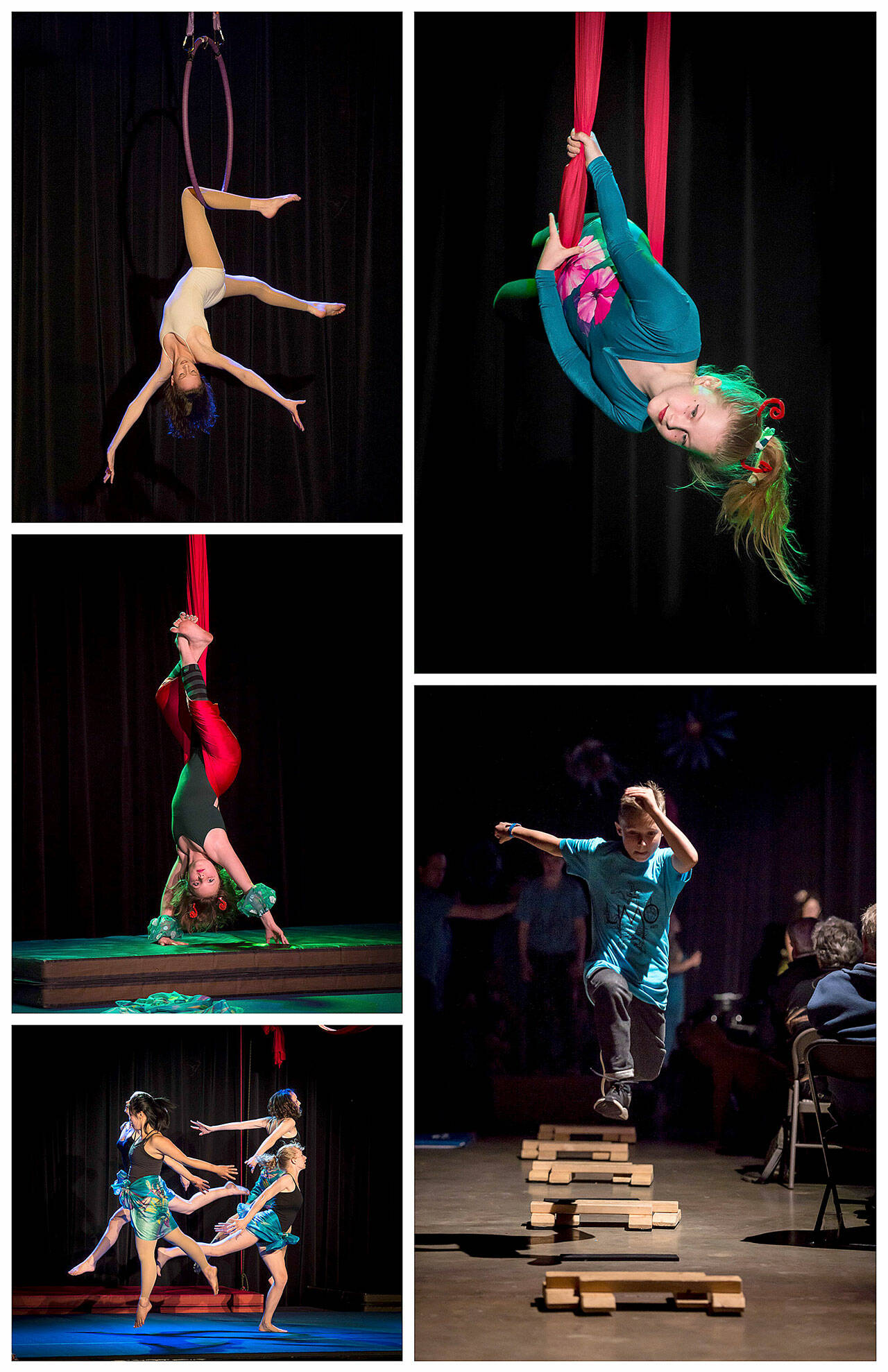 UMO students to fly, flip and spin into an “Enchanted Forest” | Vashon ...