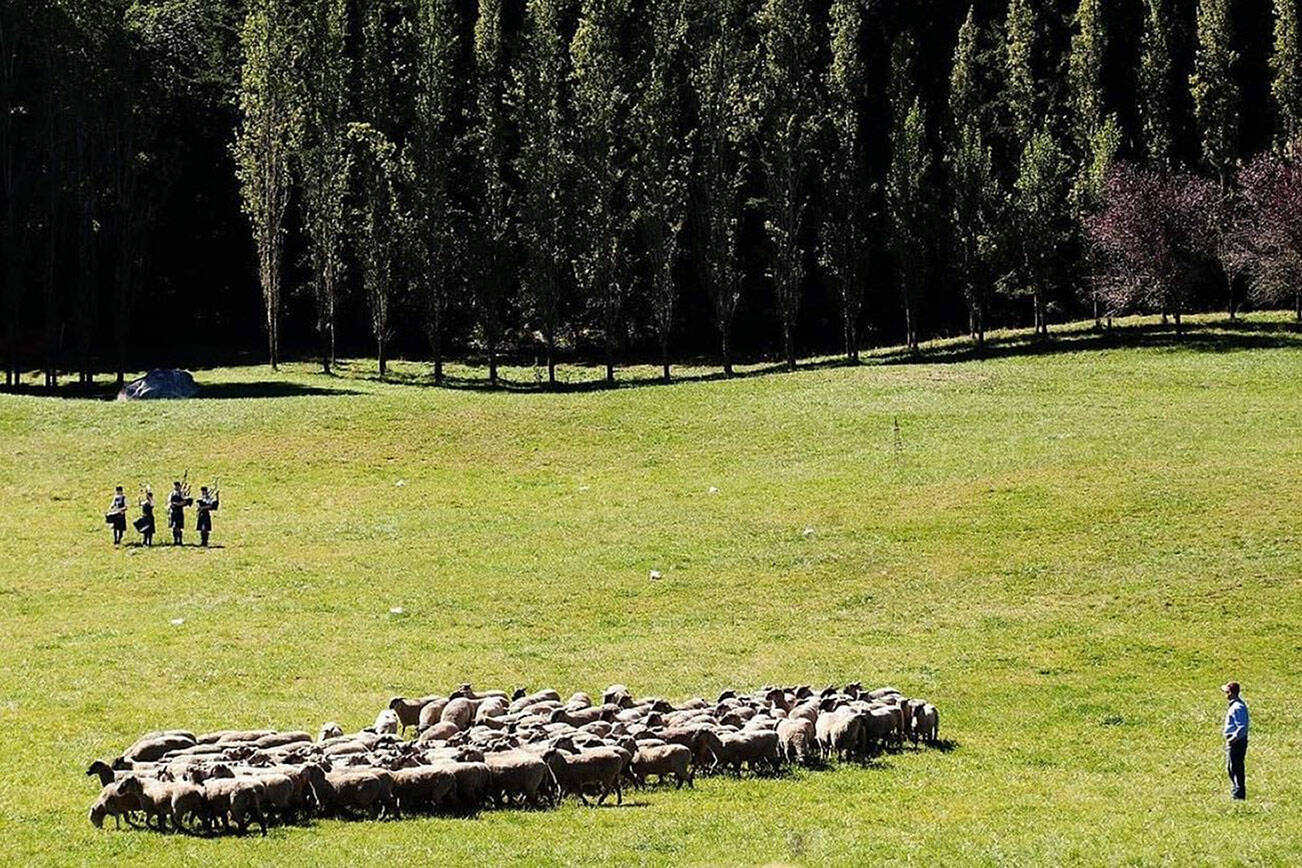 Signed, sealed, delivered: King County purchases 110 acres of Misty ...