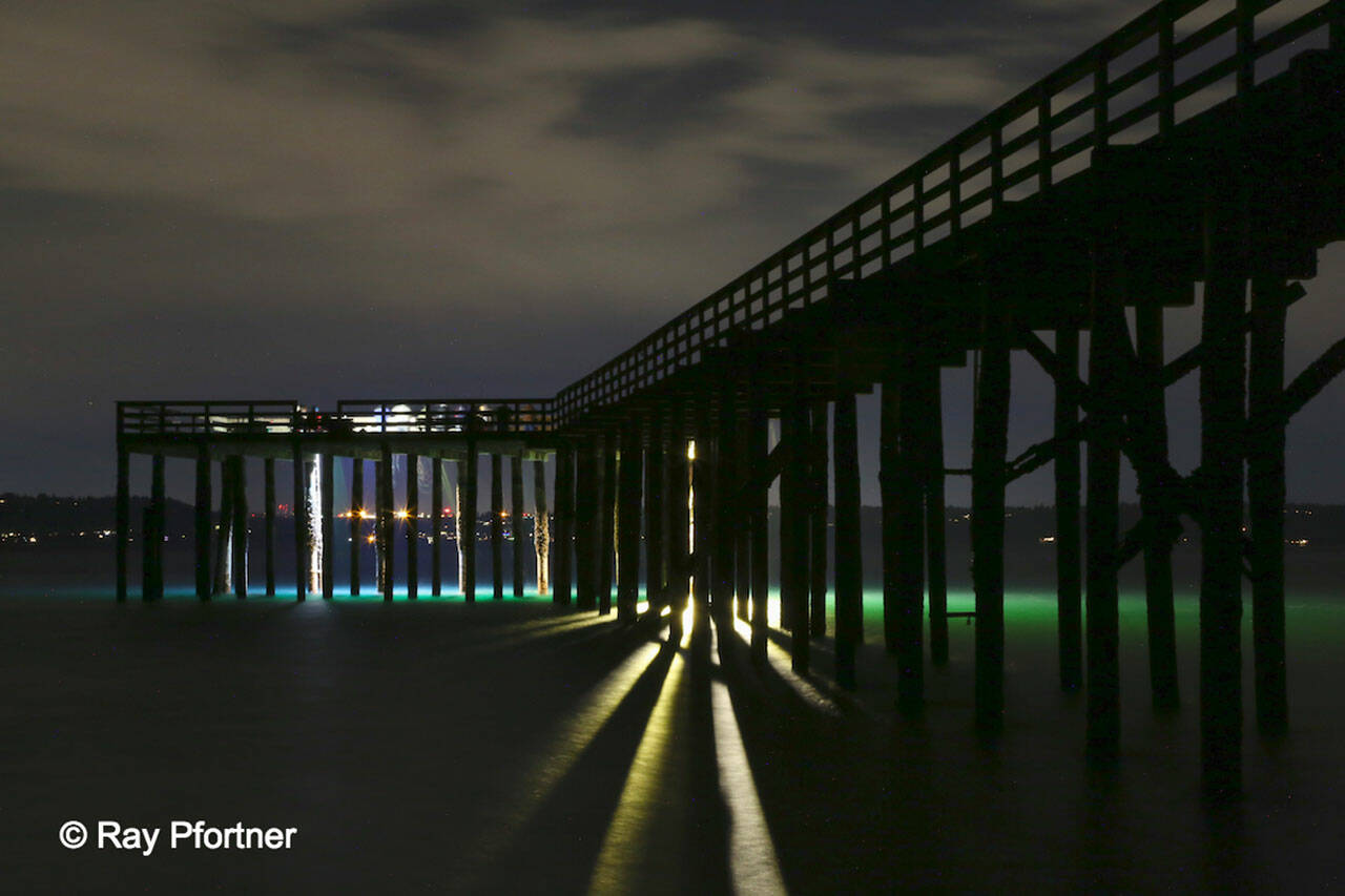 Vashon Park District: Decision on dock to come soon | Vashon-Maury ...