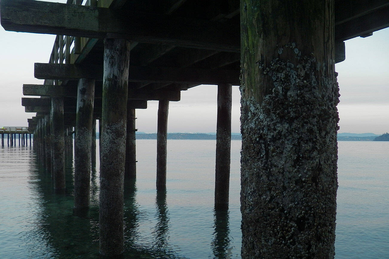 Vashon Park District moves forward to plan $2.7 million dock | Vashon ...