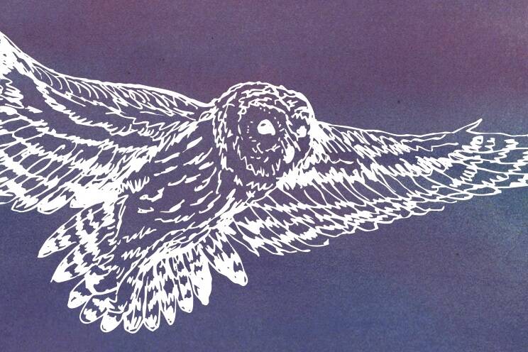 Vashon’s new Poet Laureate to be crowned in Dig Deep event | Vashon ...