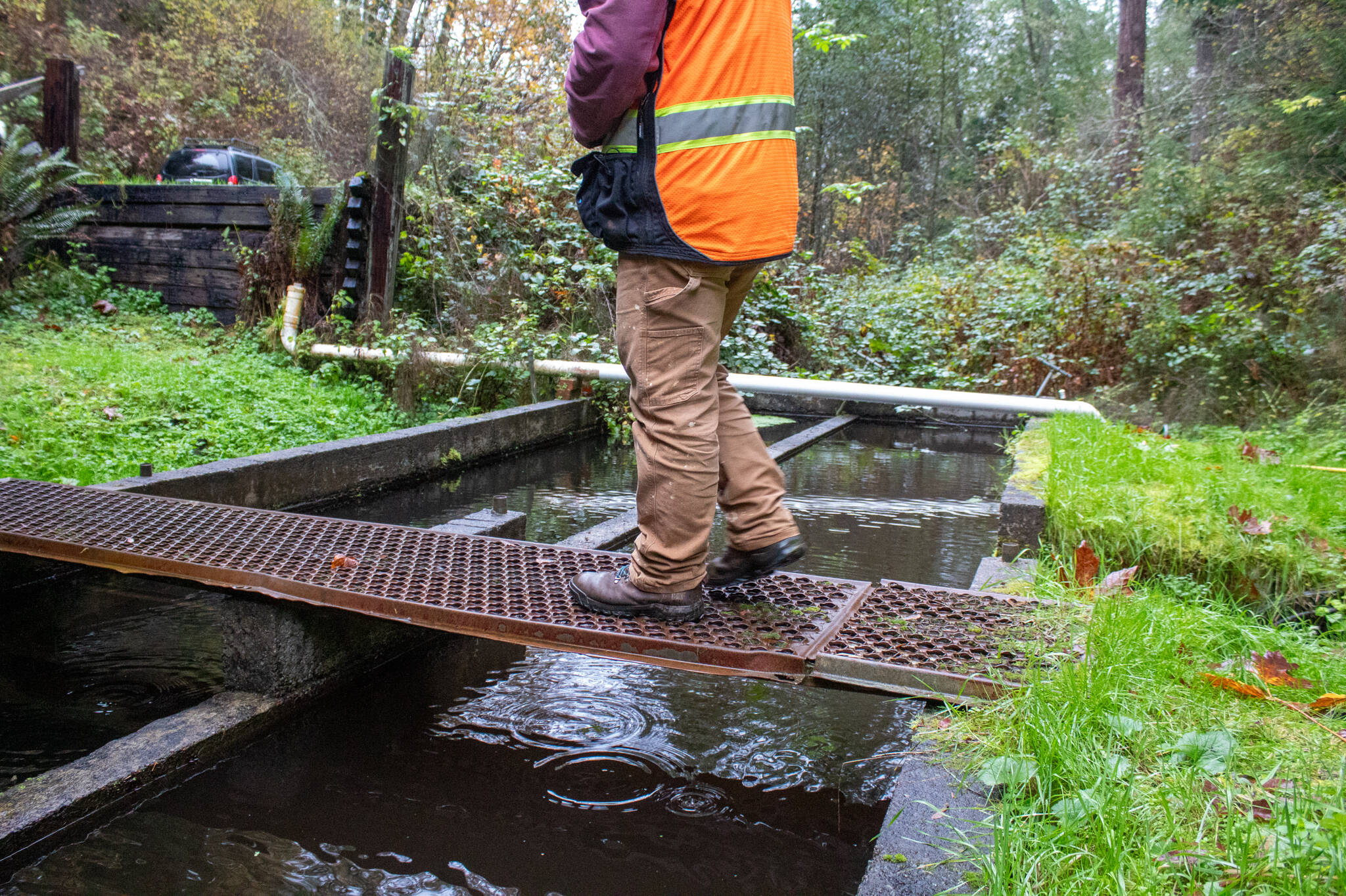 Summer bacterial bloom prompts changes for island water district