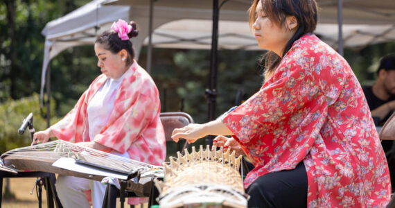 News | Vashon-Maury Island Beachcomber