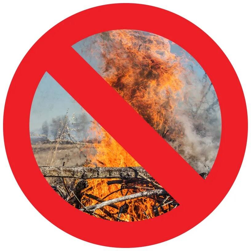 King County announces June 22 burn ban, reminds fireworks illegal in ...
